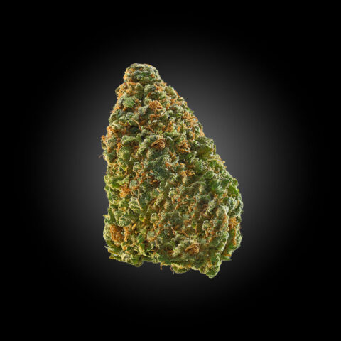Green Crack Strain - Honey Brands