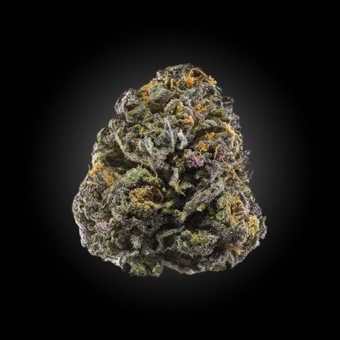 Purple Candy Cane Strain - Honey Brands