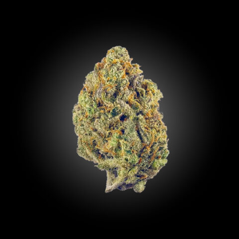 Snow Panda Strain - Honey Brands